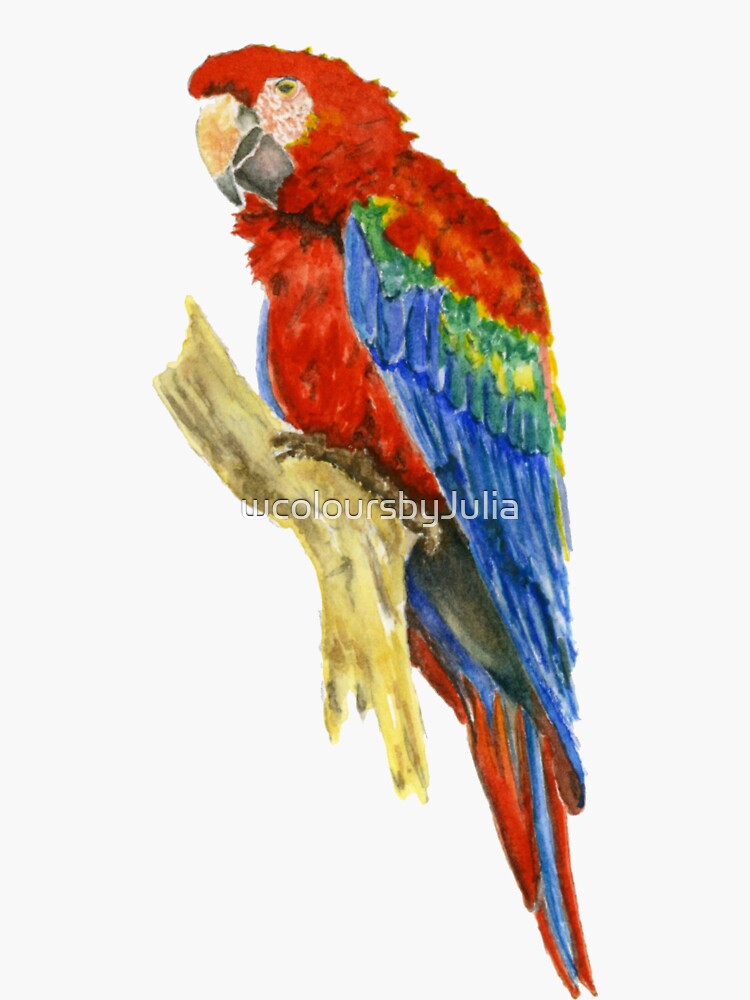 "Pretty Polly, the Parrot" Sticker by wcoloursbyJulia | Redbubble