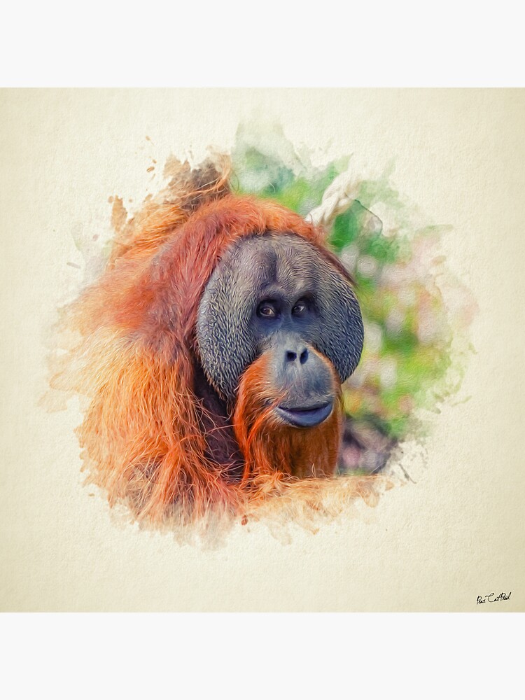 "Table of a male orang utan" Sticker for Sale by Pearcatprod | Redbubble