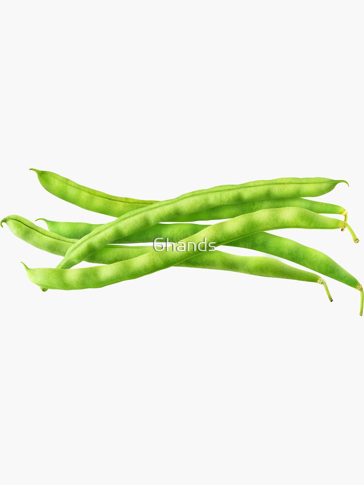 "Green beans" Sticker by 6hands | Redbubble