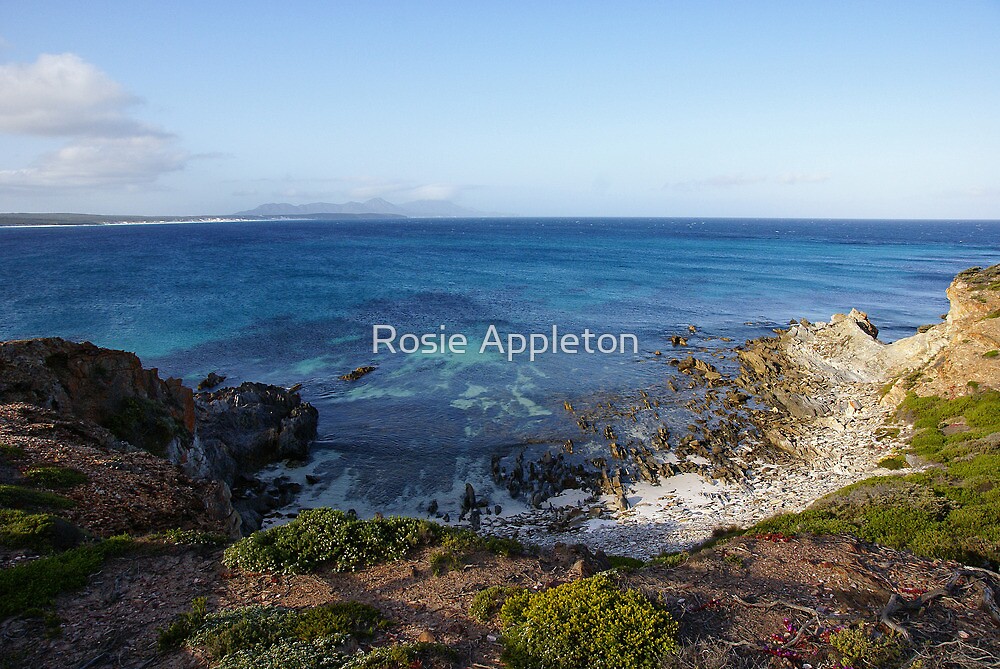 "Pt Ann, Fitzgerald River National Park" by Rosie Appleton | Redbubble