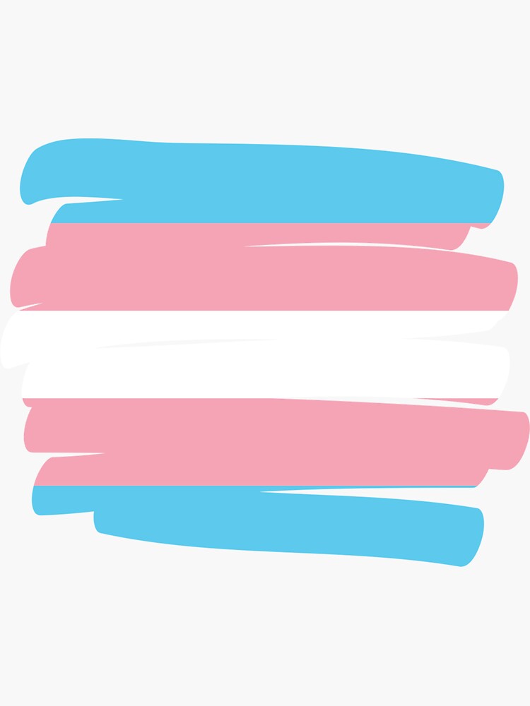 "Trans Scribble" Sticker for Sale by KingTrans | Redbubble