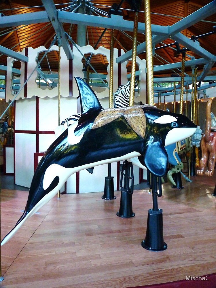 "Carousel Orca" by MischaC | Redbubble