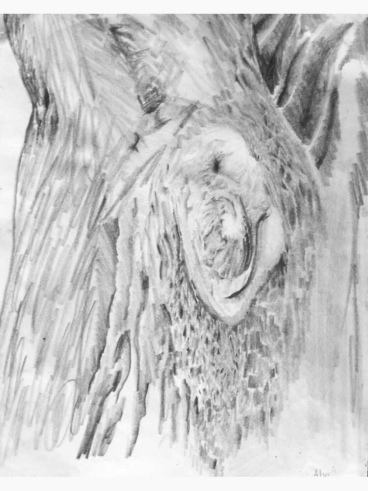"Tree Bark Drawing" Art Print for Sale by OtterwellStudio | Redbubble
