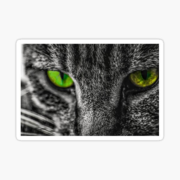 "CAT'S EYE" Sticker for Sale by dlimpi | Redbubble