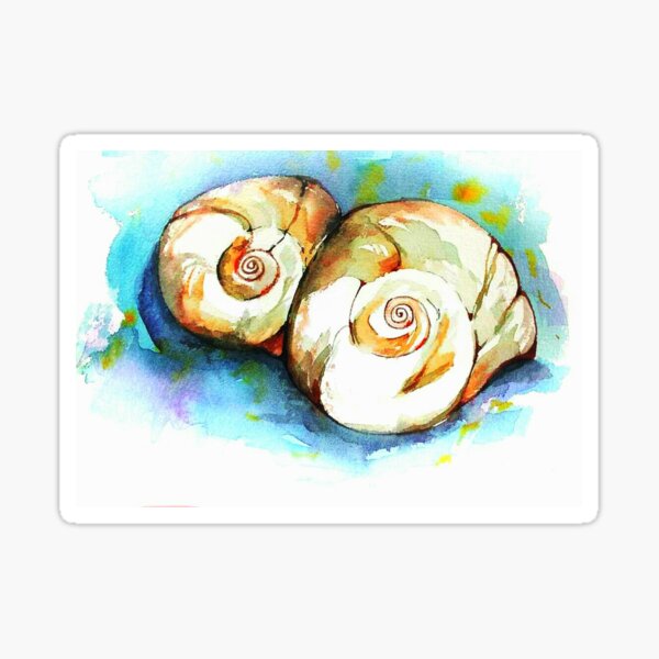 "Moon shells drawing" Sticker by Gekotreker | Redbubble
