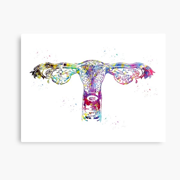 Reproductice System Stained Glass Human Anatomy Art Obgyn Roe V Wade