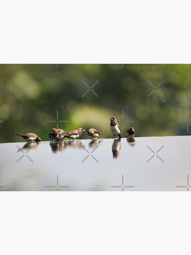 "Birds in a group." Poster by SamReardon123 | Redbubble