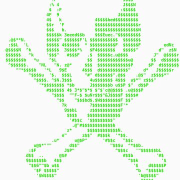 "ASCII Skull and Crossbones - Hacker Edition" Essential T-Shirt for ...