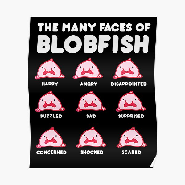 "The Many Faces Of Blobfish" Poster for Sale by JohnathanRedmon | Redbubble