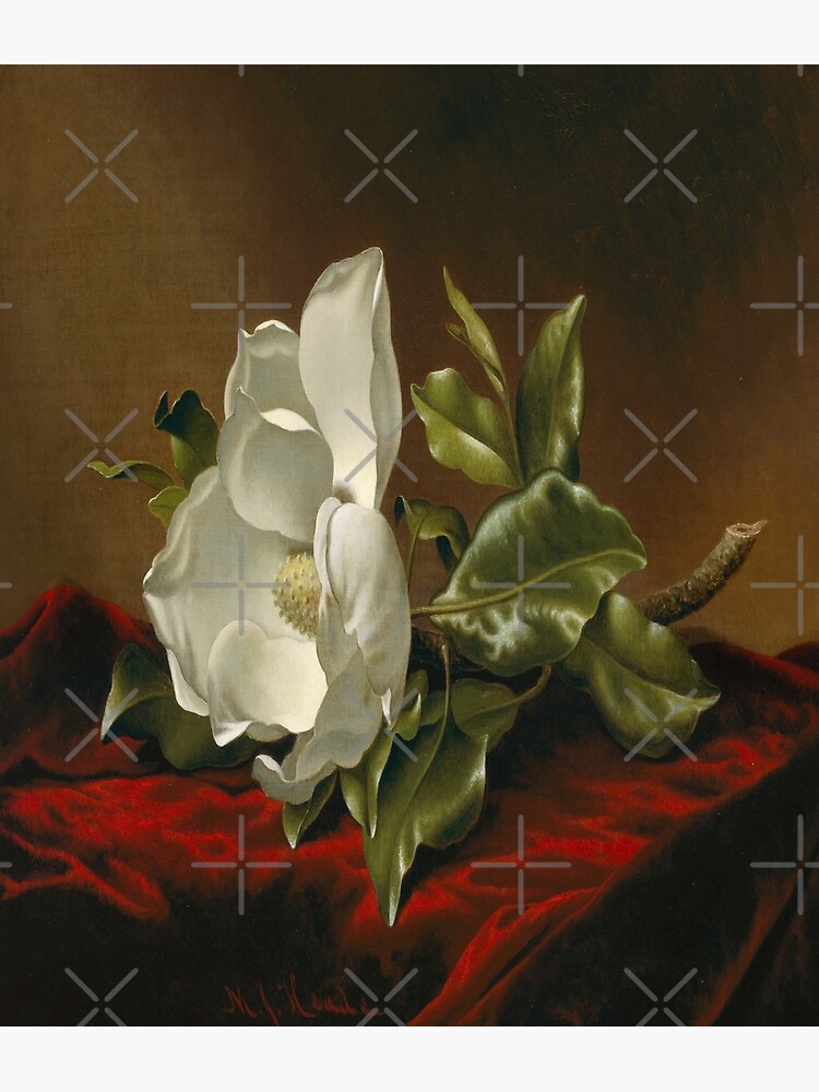 "Magnolia Grandiflora-Martin Johnson Heade" Poster by LexBauer | Redbubble