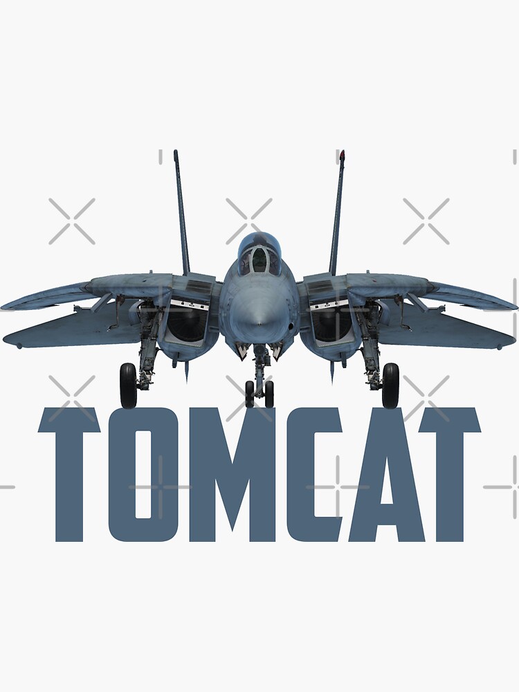 "F-14 Tomcat" Sticker for Sale by FlyNeX | Redbubble