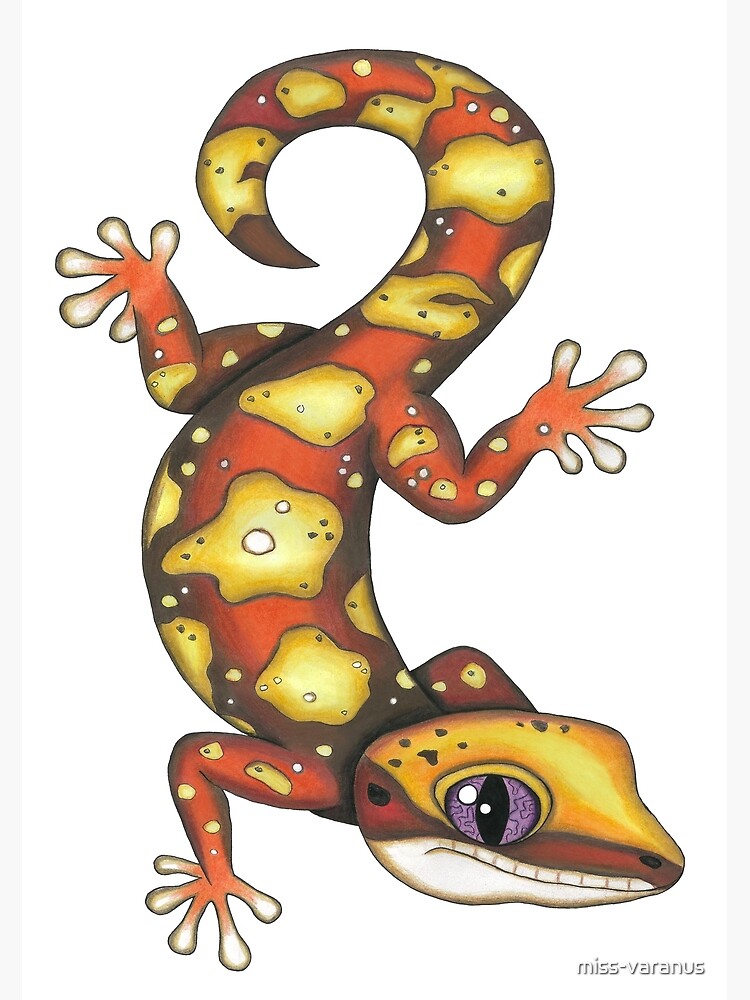 Póster «Gecko de hocico amarillo» de miss-varanus | Redbubble