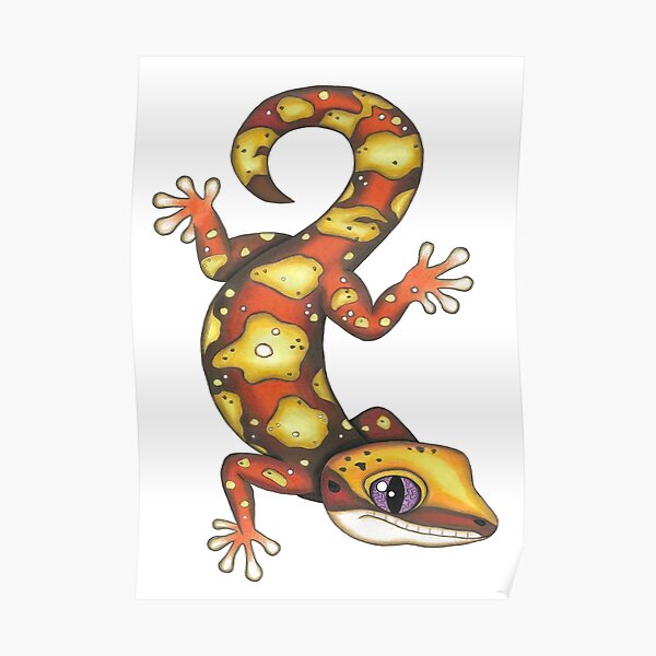 Póster «Gecko de hocico amarillo» de miss-varanus | Redbubble
