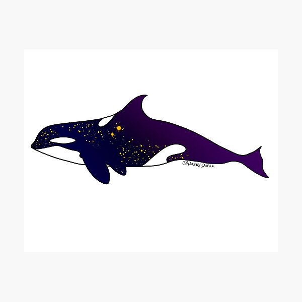 "Space Orca" Photographic Print by sorioffantasy | Redbubble