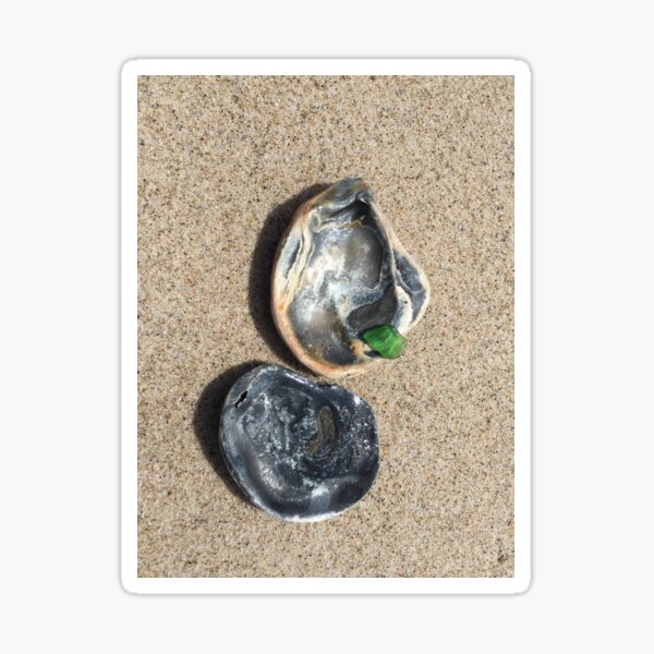 "Sea shells and green glass" Sticker for Sale by beachbyehlers | Redbubble