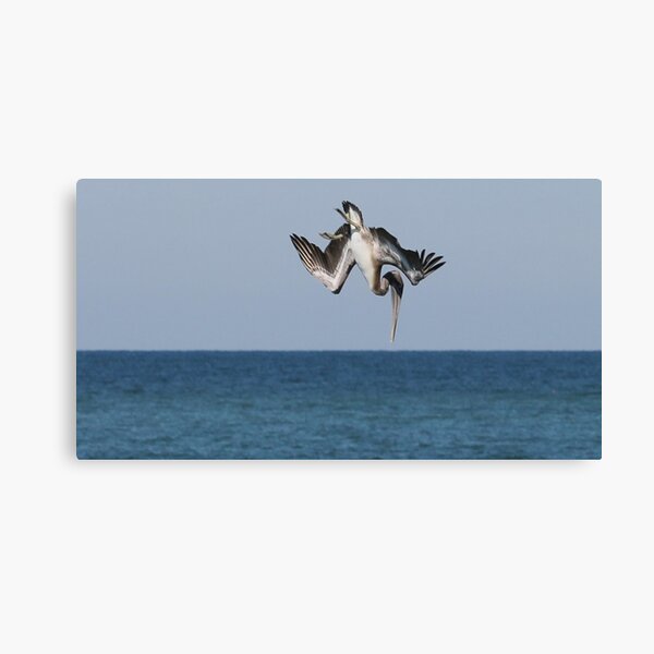 Skyfall Canvas Prints | Redbubble