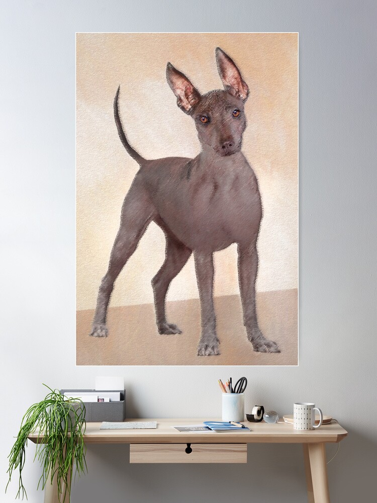 Xoloitzcuintli Painting Cute Original Dog Art Poster Zazzle