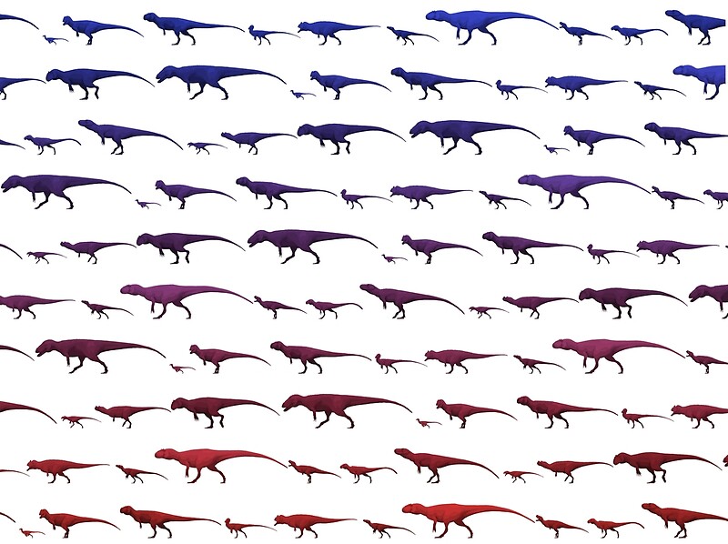 "Morrison Formation Theropods (Pattern)" by JedTaylor | Redbubble