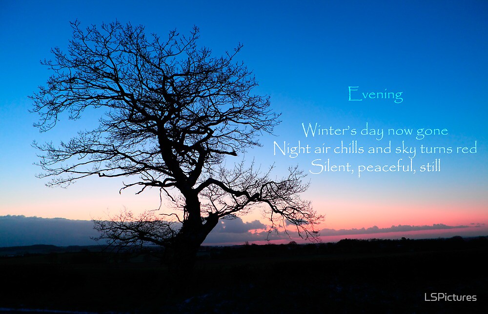 "Winter Evening Haiku - a stark tree against a cold winter sky with a ...