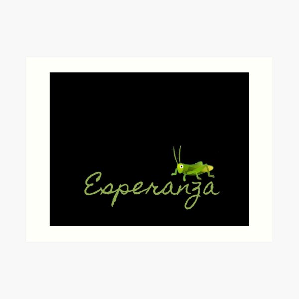 "Esperanza / Hope / Grasshopper / Green Insect / Good Luck / Buena ...