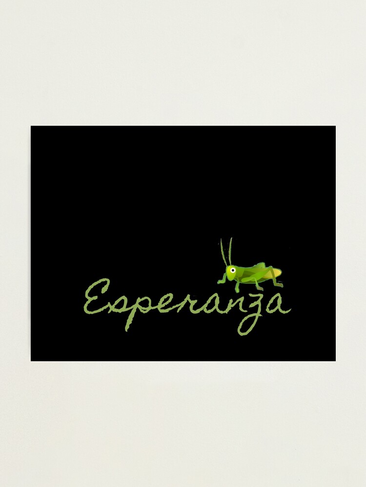 "Esperanza / Hope / Grasshopper / Green Insect / Good Luck / Buena ...