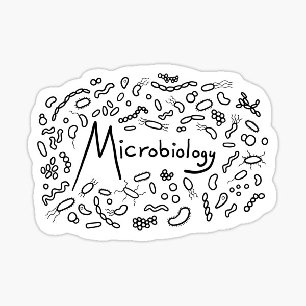 "Microbiology!" Sticker for Sale by ktbelliss | Redbubble