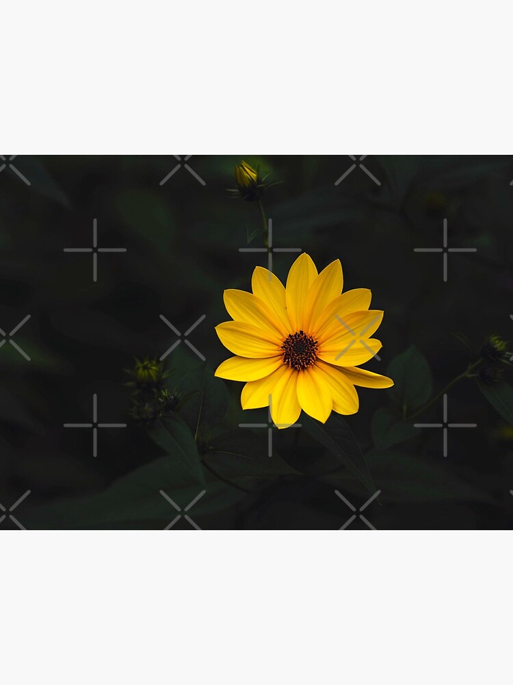 "Ethio meskel Flower - Adey Abeba" Canvas Print for Sale by TensuBee ...