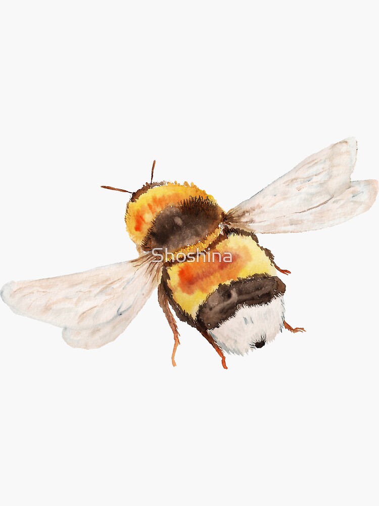 "Flying bumble bee" Sticker for Sale by Shoshina | Redbubble