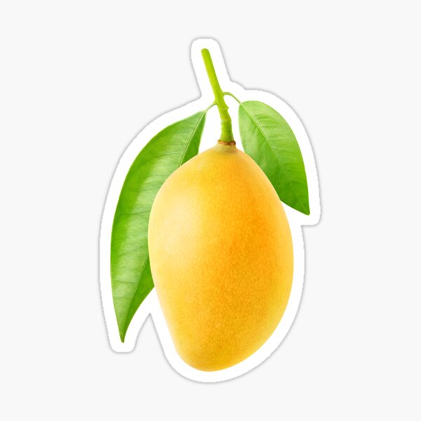 "Mango fruit" Sticker for Sale by 6hands | Redbubble