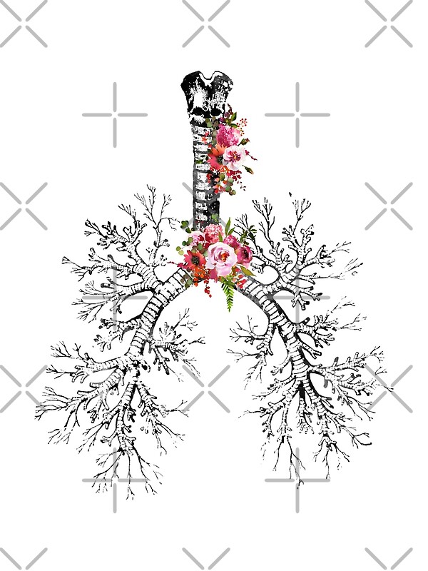 "Bronchial tree" by erzebetth | Redbubble