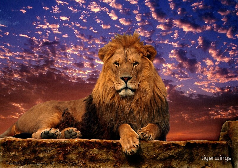 "The Great One" by tigerwings | Redbubble