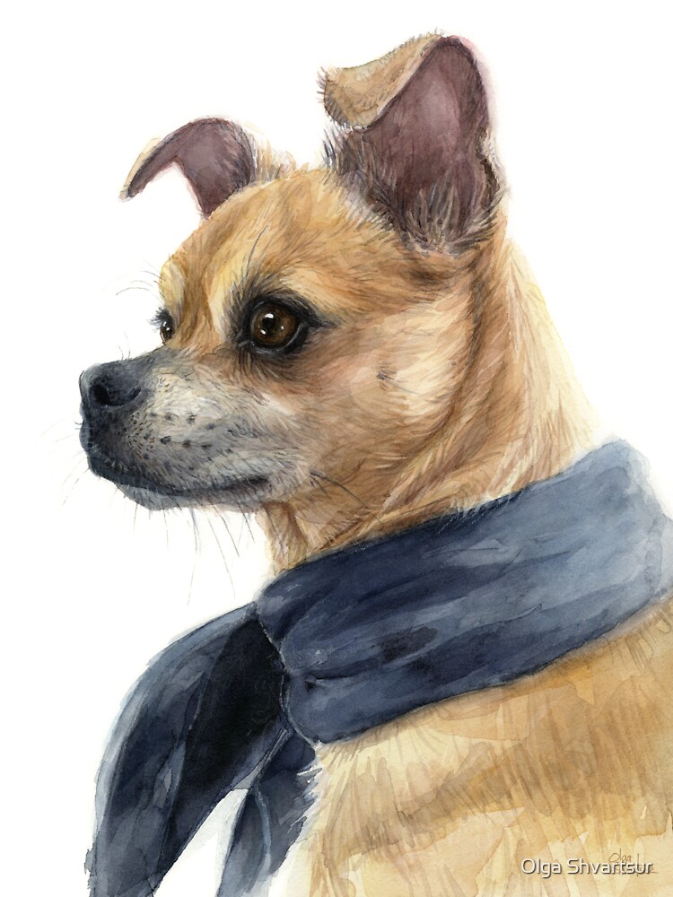 "Chug Dog Chihuahua Pug Art" Sticker for Sale by olga-shvartsur | Redbubble