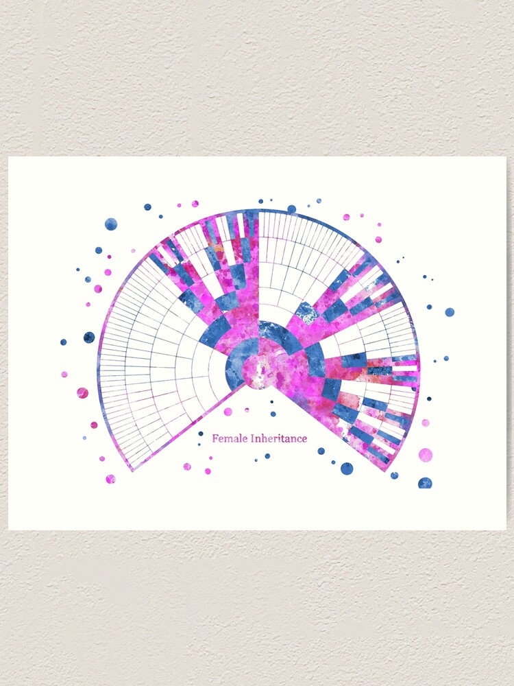 "Female Inheritance Chart, Female Inheritance, Female X-DNA Inheritance ...