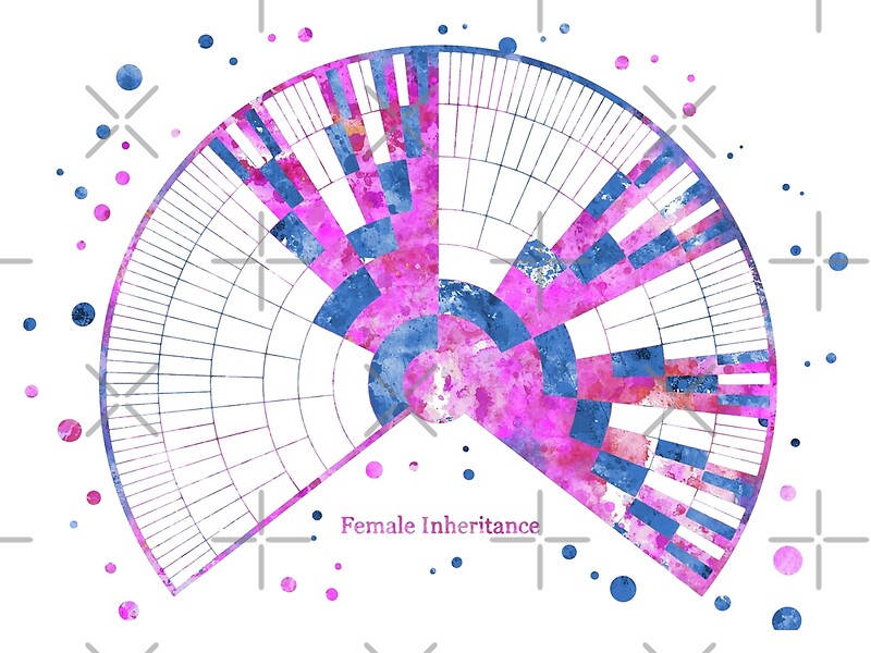 "Female Inheritance Chart, Female Inheritance, Female X-DNA Inheritance ...