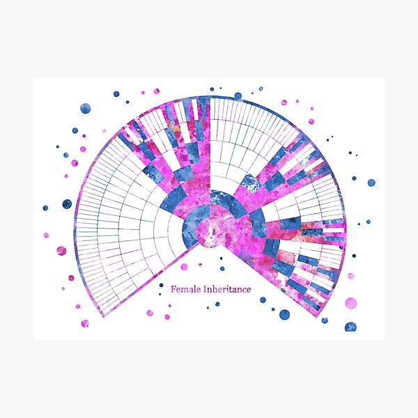 "Female Inheritance Chart, Female Inheritance, Female X-DNA Inheritance ...
