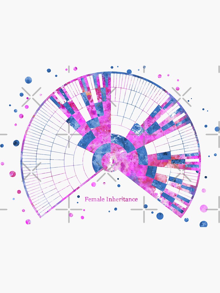"Female Inheritance Chart, Female Inheritance, Female X-DNA Inheritance ...