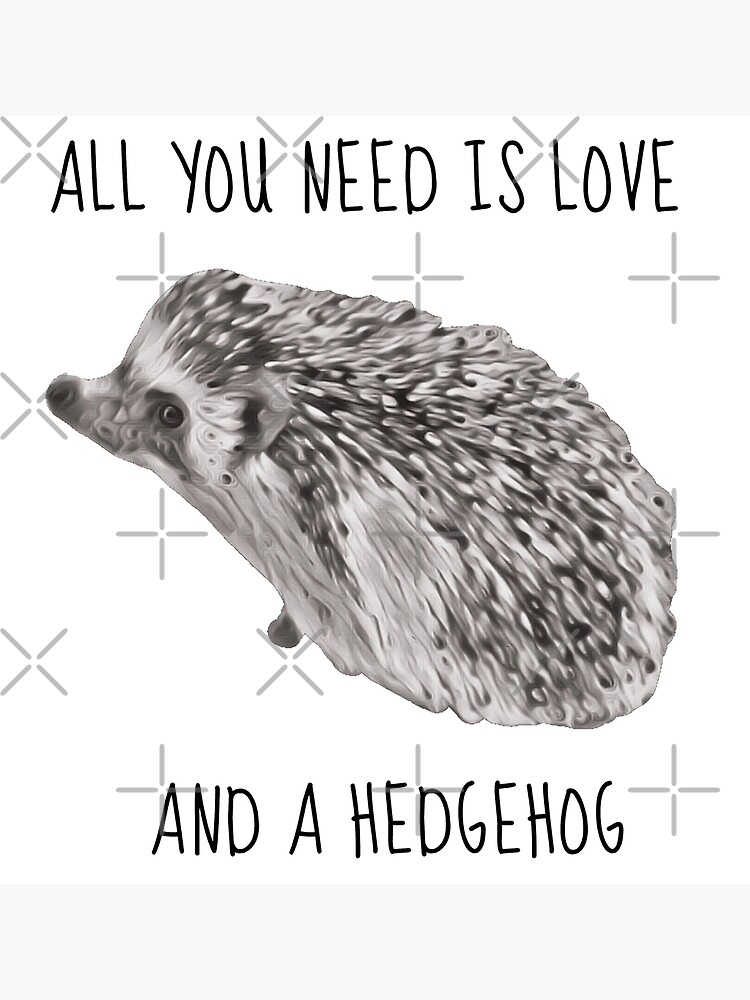 Hedgehogs Quotes