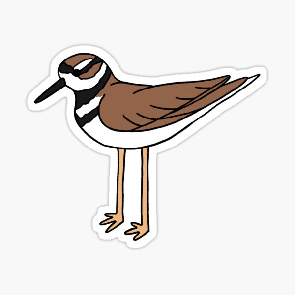 Killdeer Gifts & Merchandise for Sale | Redbubble