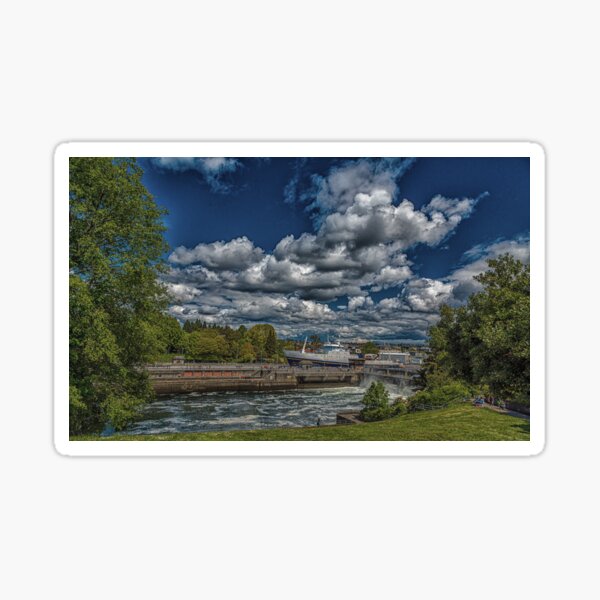"Golden Alaska Through Ballard Locks" Sticker for Sale by dbvirago ...
