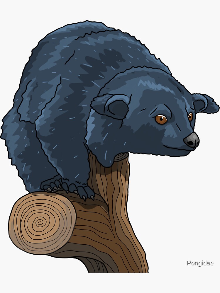 "Binturong (Arctictis binturong)." Sticker for Sale by Pongidae | Redbubble