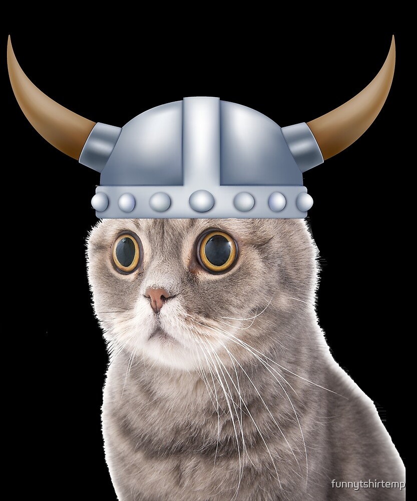"Funny Viking Kitty Cat Pussy Helmet with horns Shield Hat Funny Cute ...