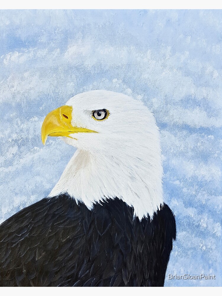 "Bald Eagle Portrait Acrylic Painting" Poster by BrianSloanPaint ...