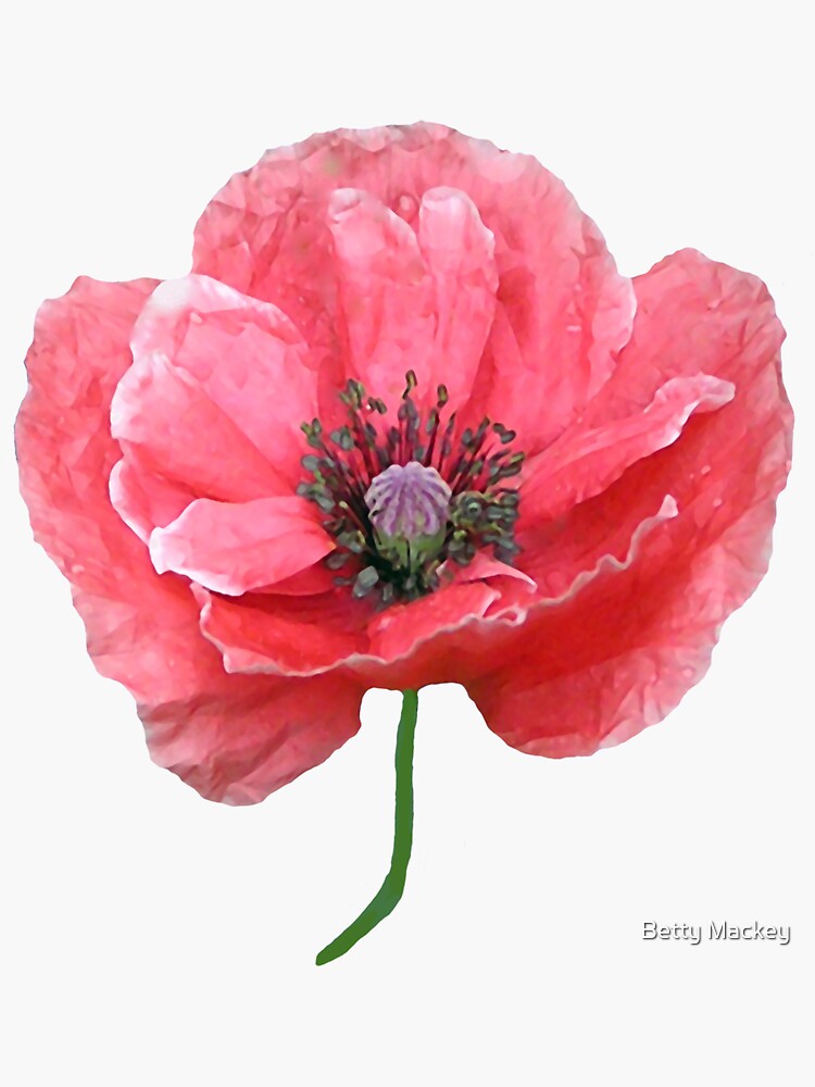 "Poppy" Sticker for Sale by BettyMackey | Redbubble