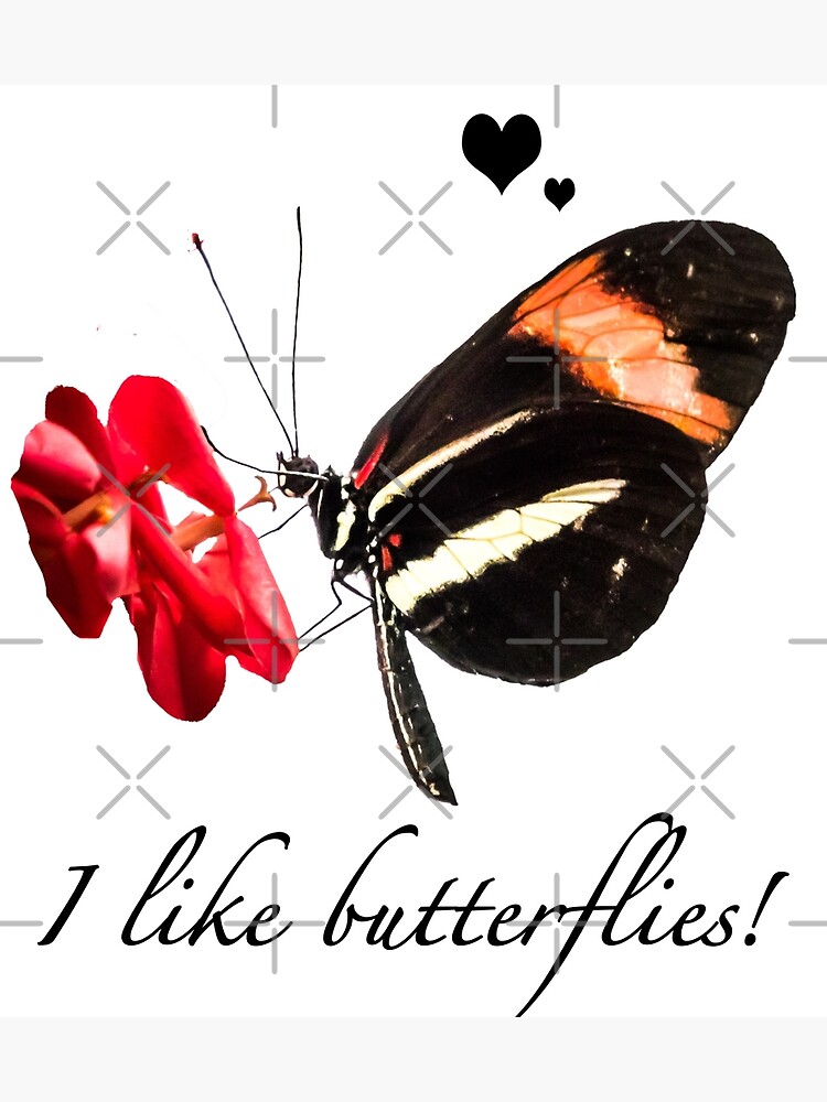 Lámina fotográfica «Idea de regalo Foto de mariposa "Me gustan las ...
