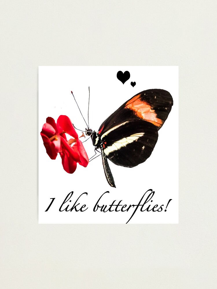 Lámina fotográfica «Idea de regalo Foto de mariposa "Me gustan las ...