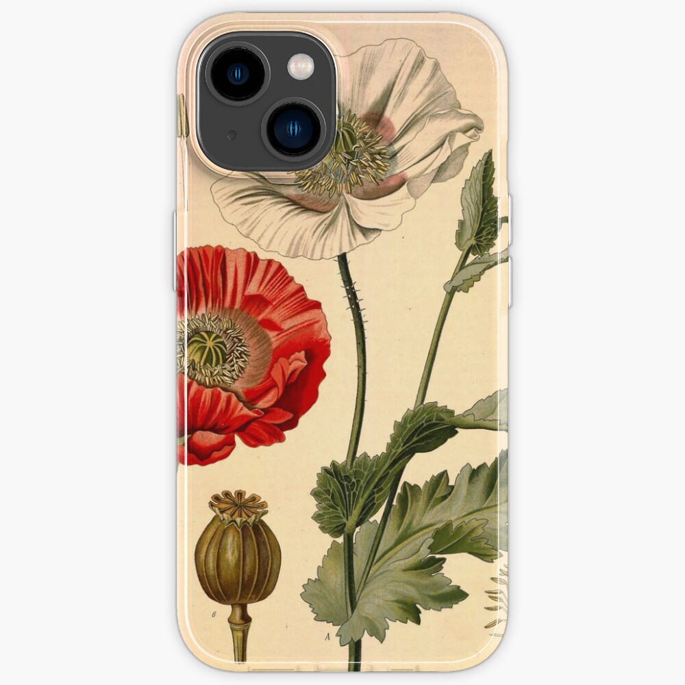 "Papaver somniferum L., Opium poppy" iPhone Case for Sale by Divine ...