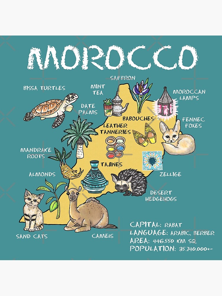 Morocco - Illustrated Map Premium Matte Vertical Poster Designed & Sold ...