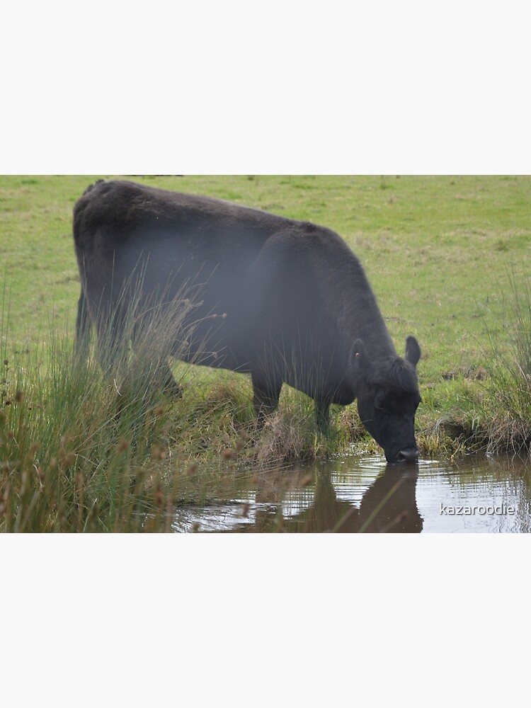 "HOLY COW" Poster by kazaroodie | Redbubble