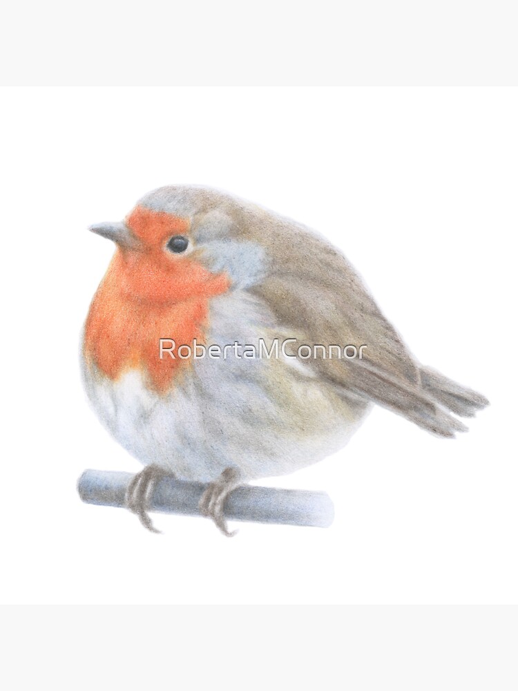 "Fat Robin" Sticker for Sale by RobertaMConnor | Redbubble