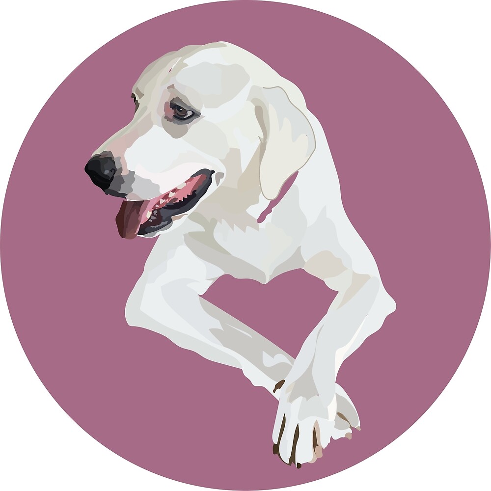 "White Lab" by emreese | Redbubble